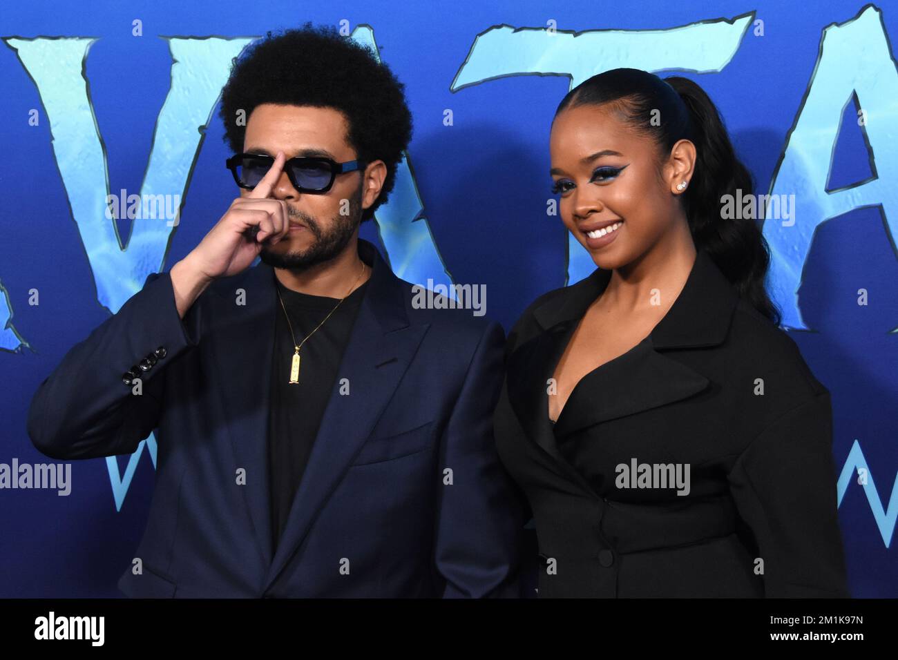 Hollywood, California, USA 12th December 2022 Singer/musician The ...