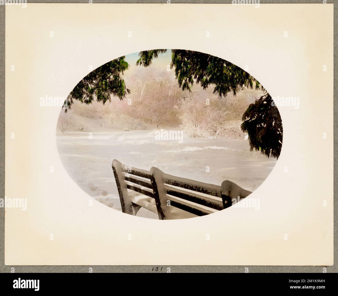 Arnold Arboretum, bench near gate , Winter, Botanical gardens, Arnold ...