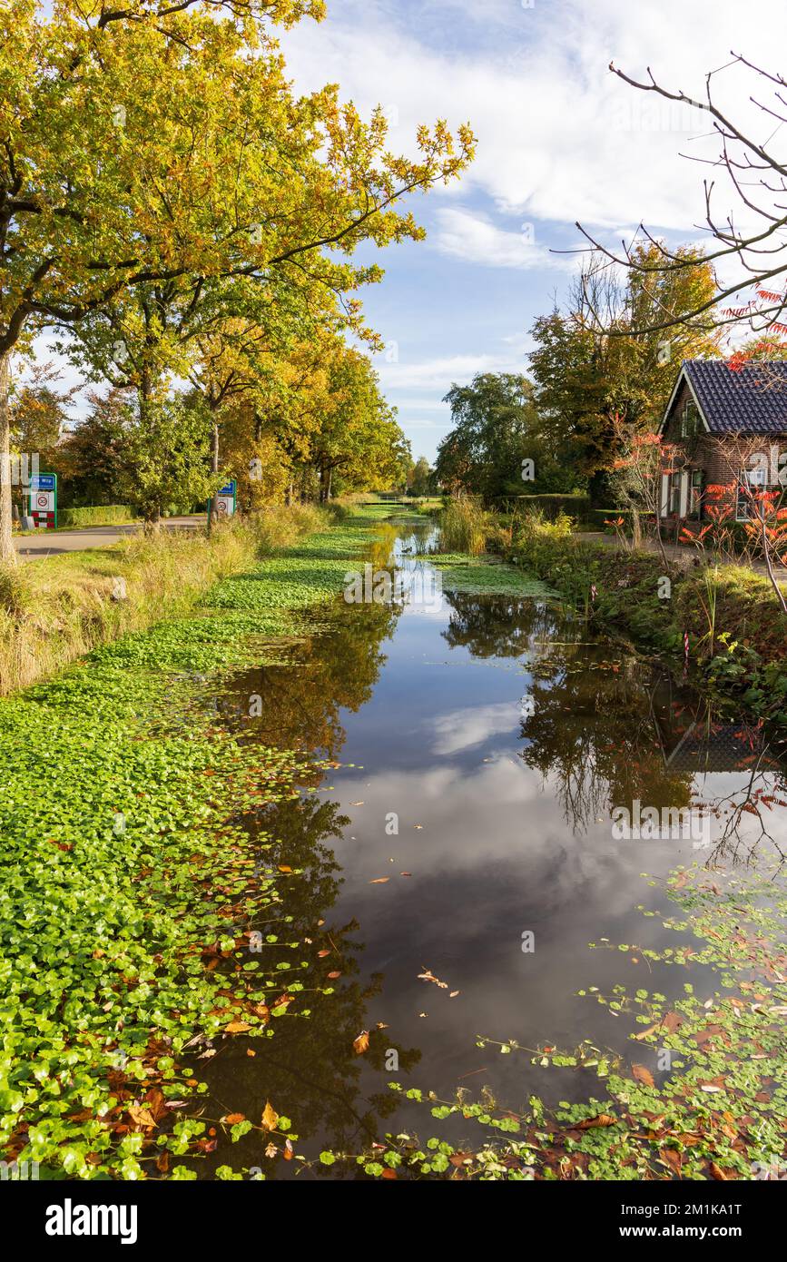 Street view with canal in De Wilp municipality Westerkwartier in ...
