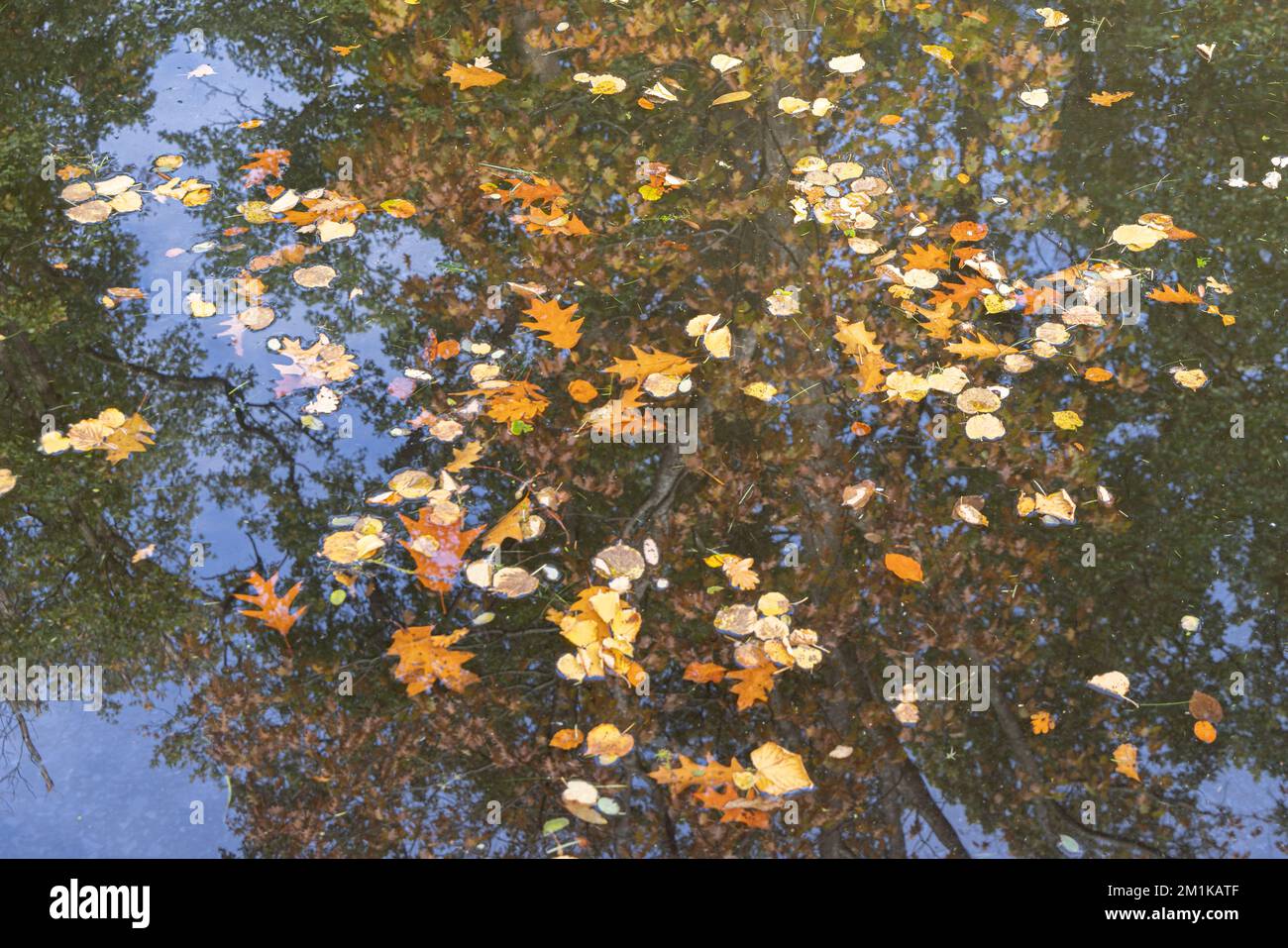 Estate and park Nienoord in Leek municipality Westerkwartier Groningen ...