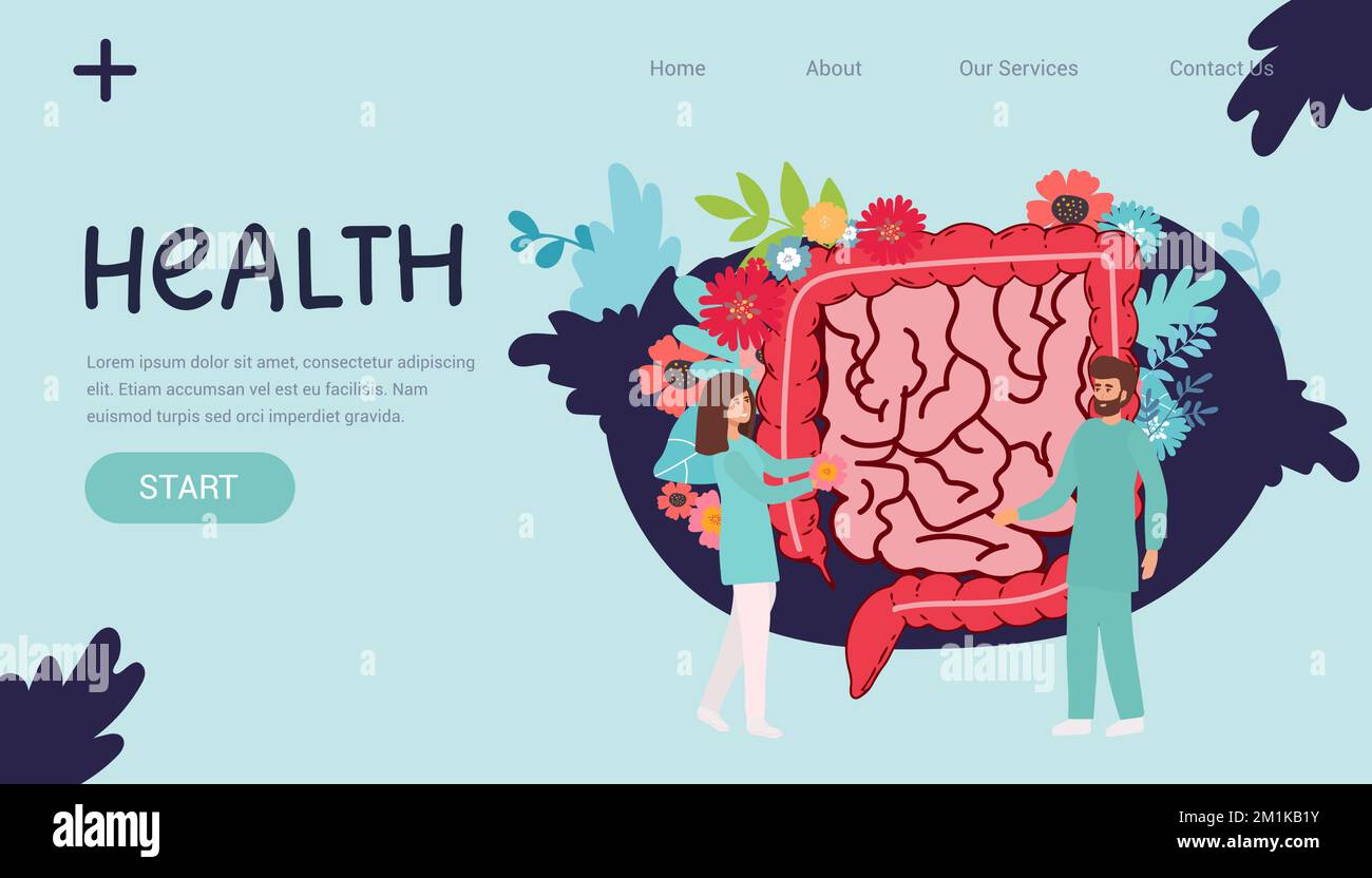 Gut organ medical checkup, health intestine and digestive. Doctor ...