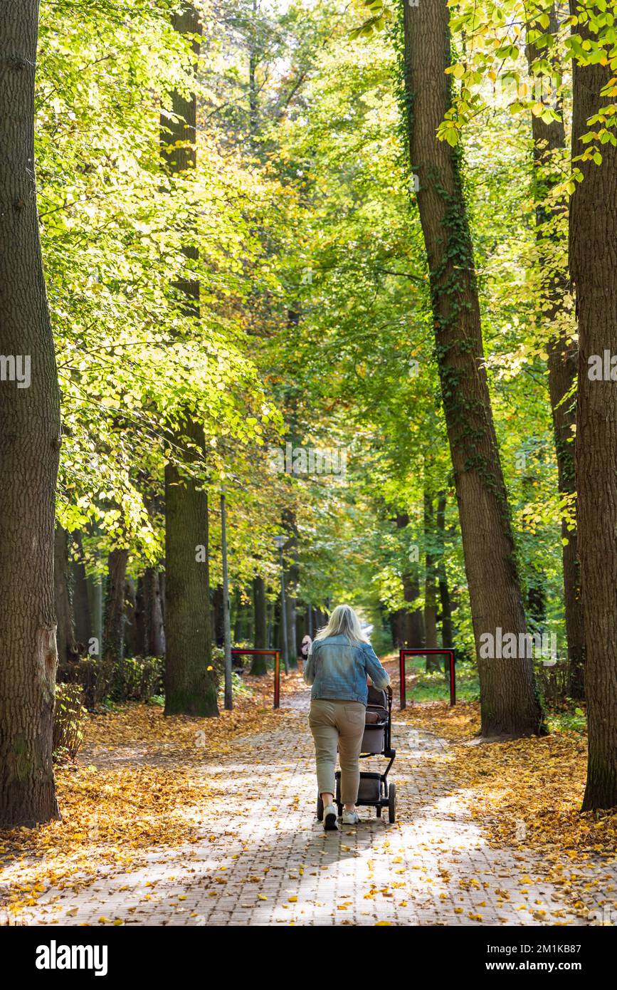 Walking in estate and park Nienoord in Leek municipality Westerkwartier ...