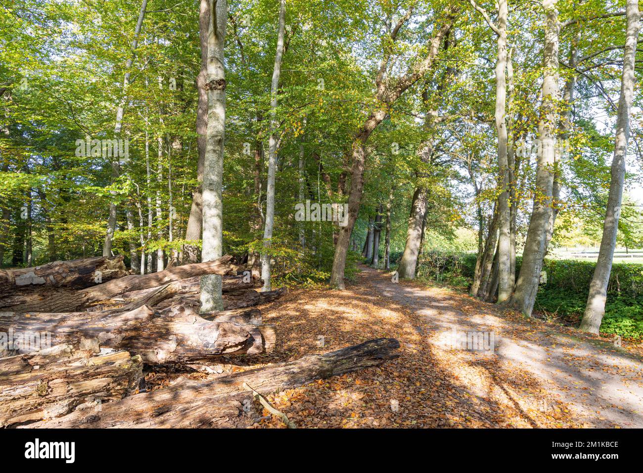 Estate and park Nienoord in Leek municipality Westerkwartier Groningen ...