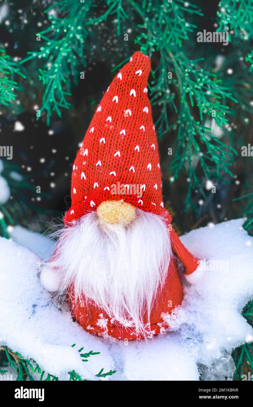 Christmas holiday card Cute scandinavian gnomes with red hat and white ...