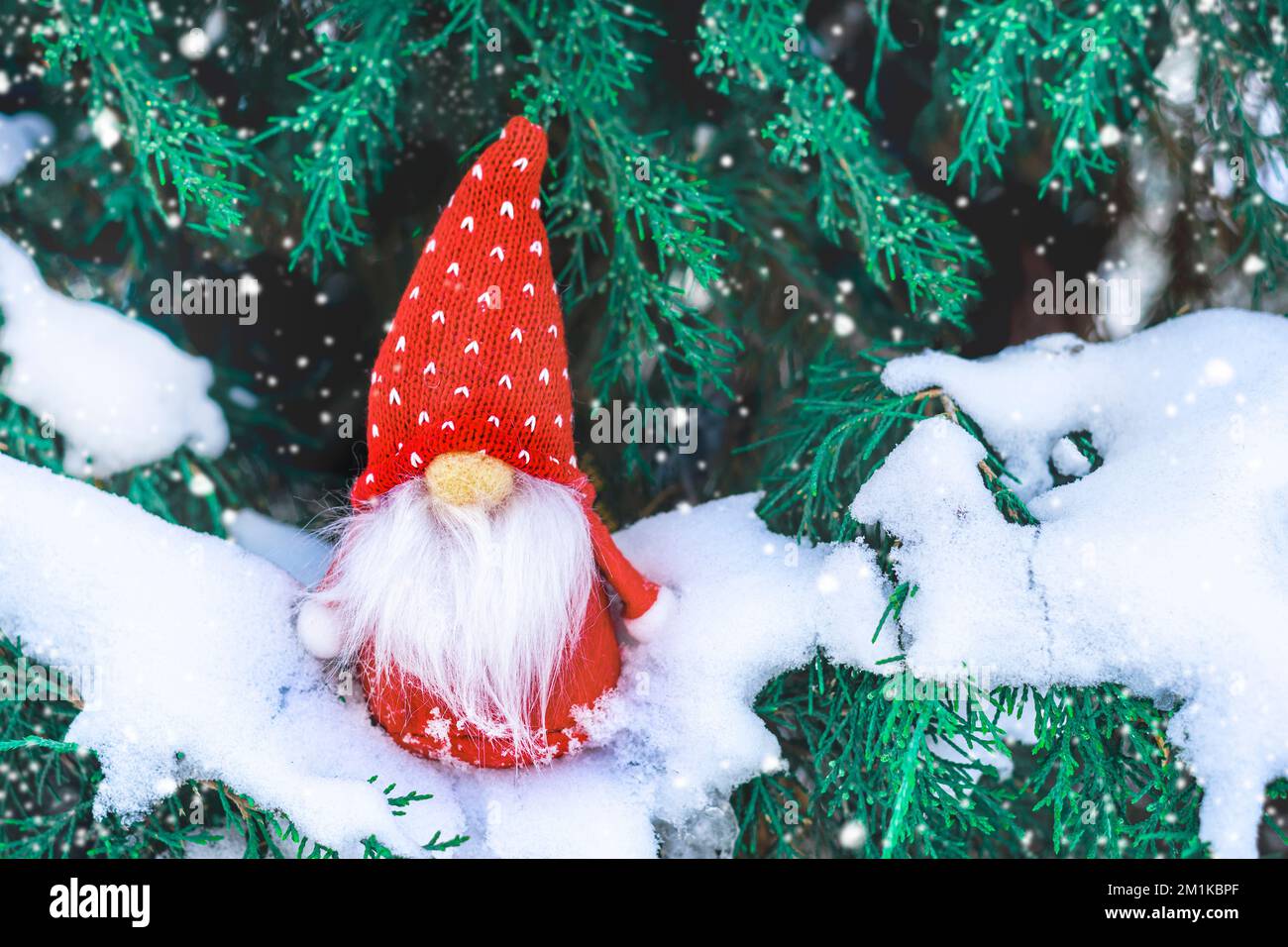 Christmas holiday card Cute scandinavian gnomes with red hat and white ...