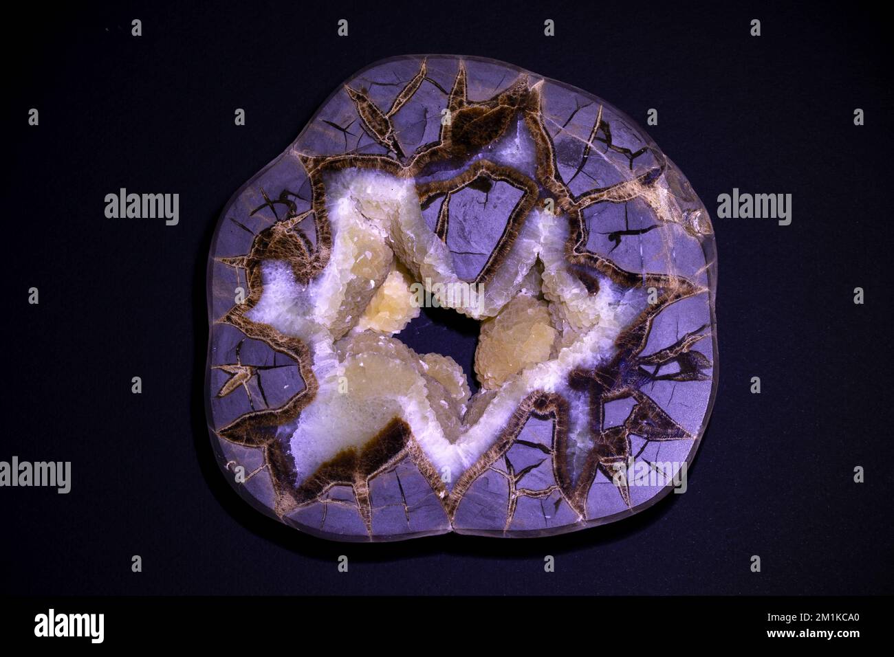 Septarian nodule hi-res stock photography and images - Alamy