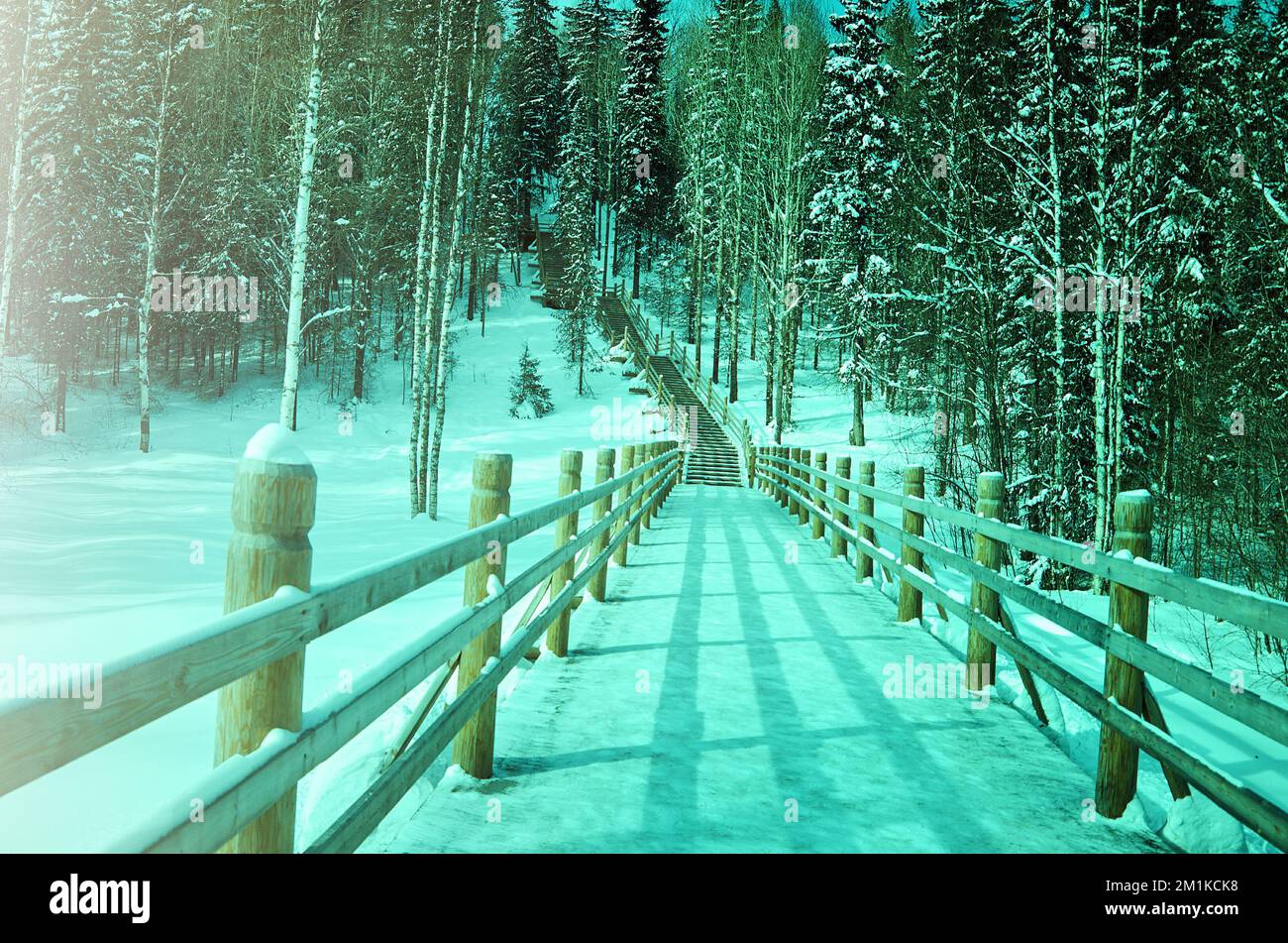 Russian Traditional wooden gangway , Malye Karely village, Arkhangelsk ...