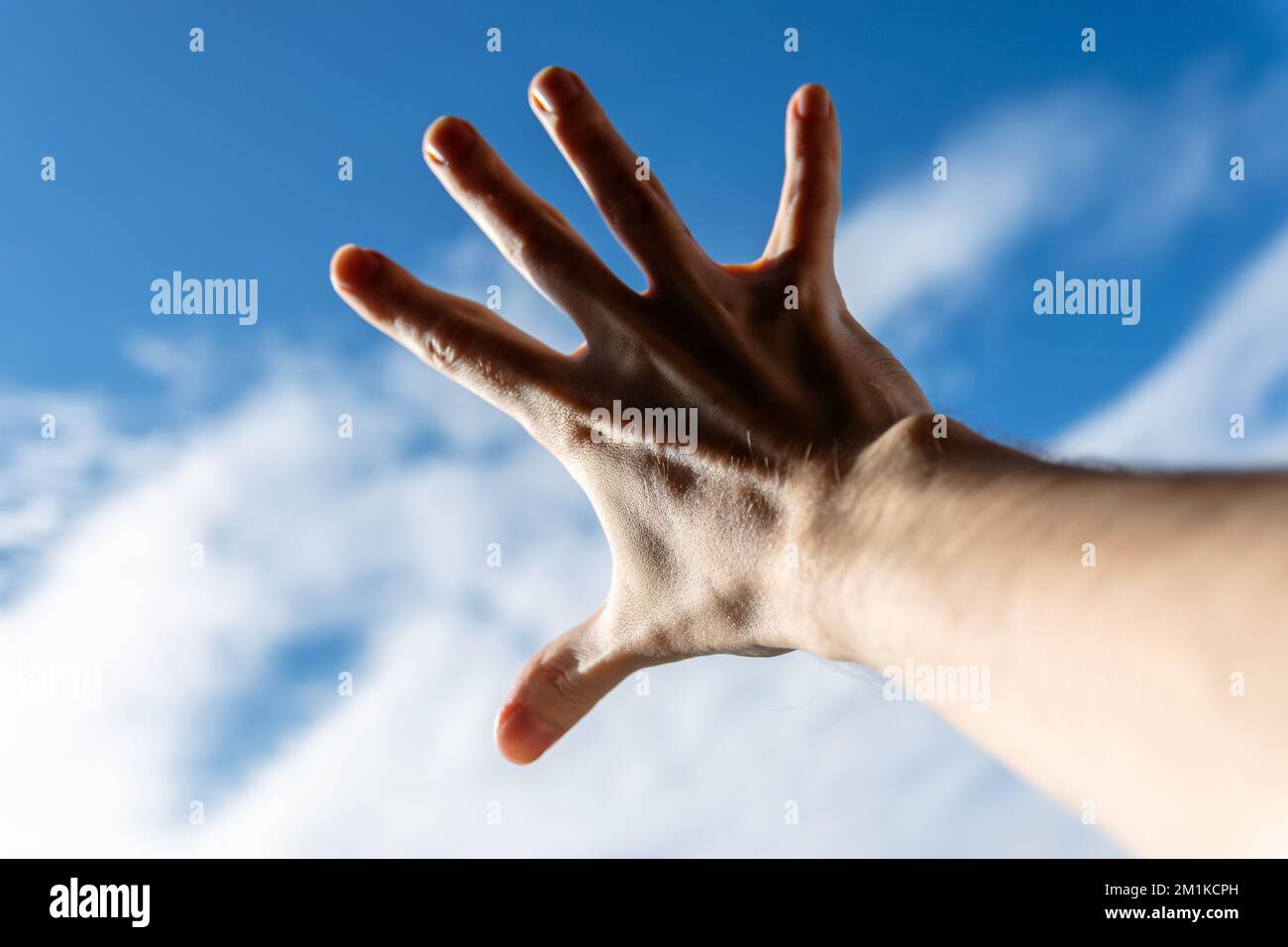 Hand of a man reaching to towards sky Stock Photo - Alamy