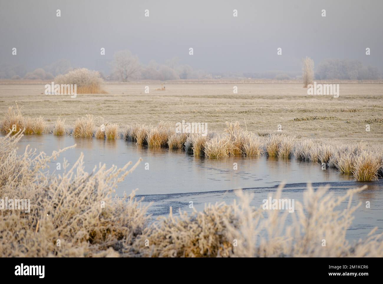 BENNEKOM - A wintry landscape. In many places in the country, the ...