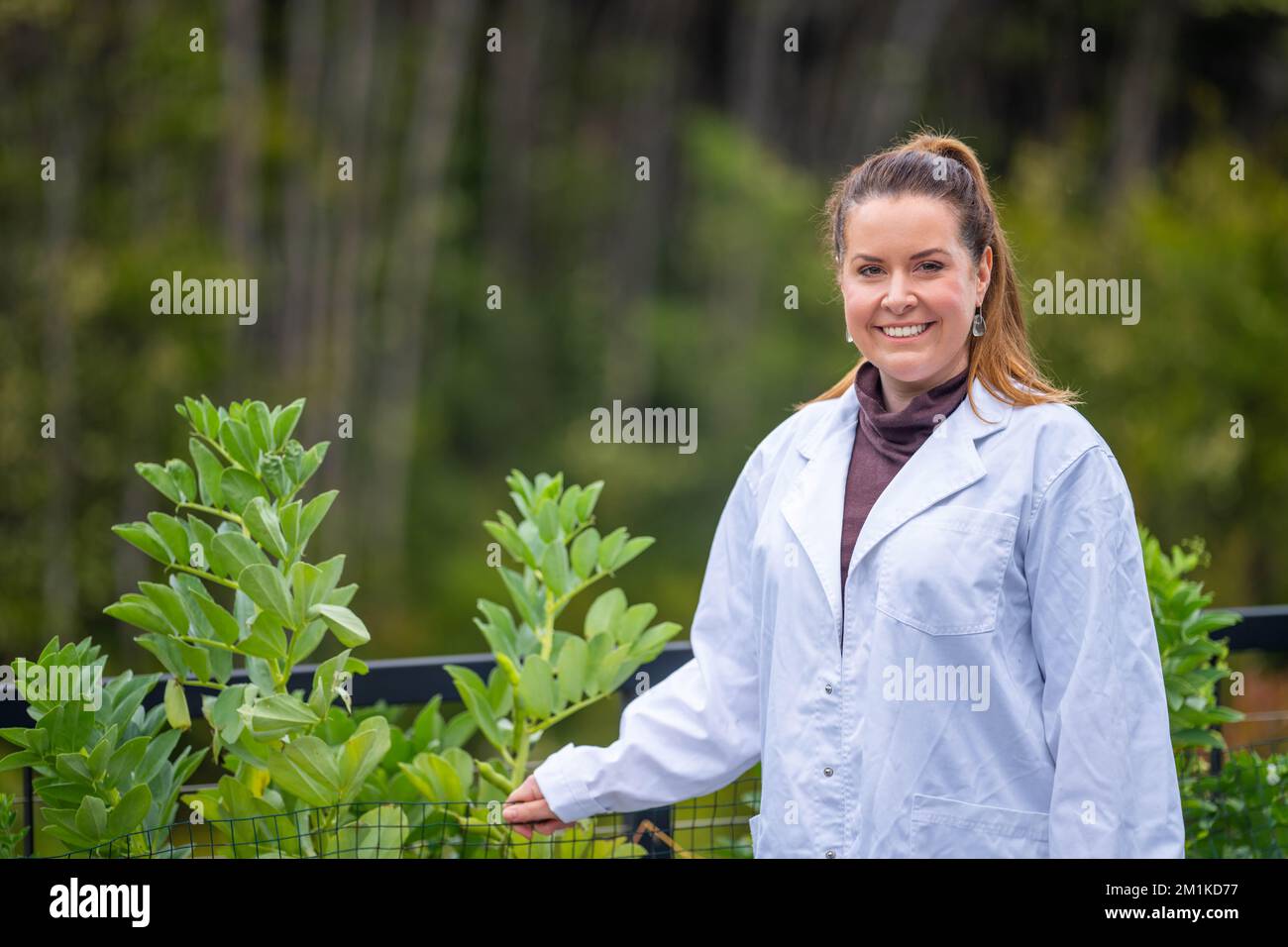 plant scientist working in agriculture, soil scientist studing soil ...