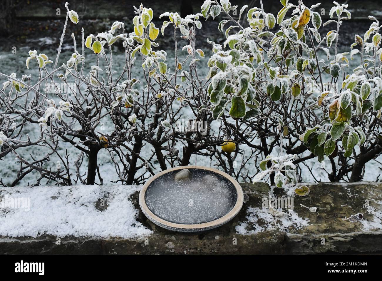 Edinburgh Scotland, UK 13 December 2022. WEATHER:UK. Freezing ...