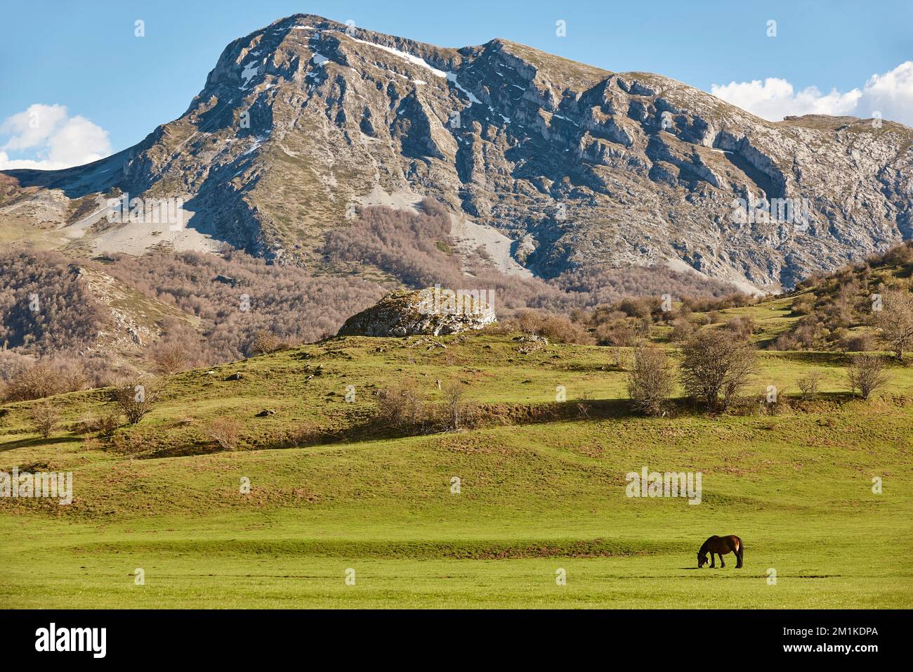 Horse in a green valley. Castilla y Leon landscape. Spain Stock Photo ...