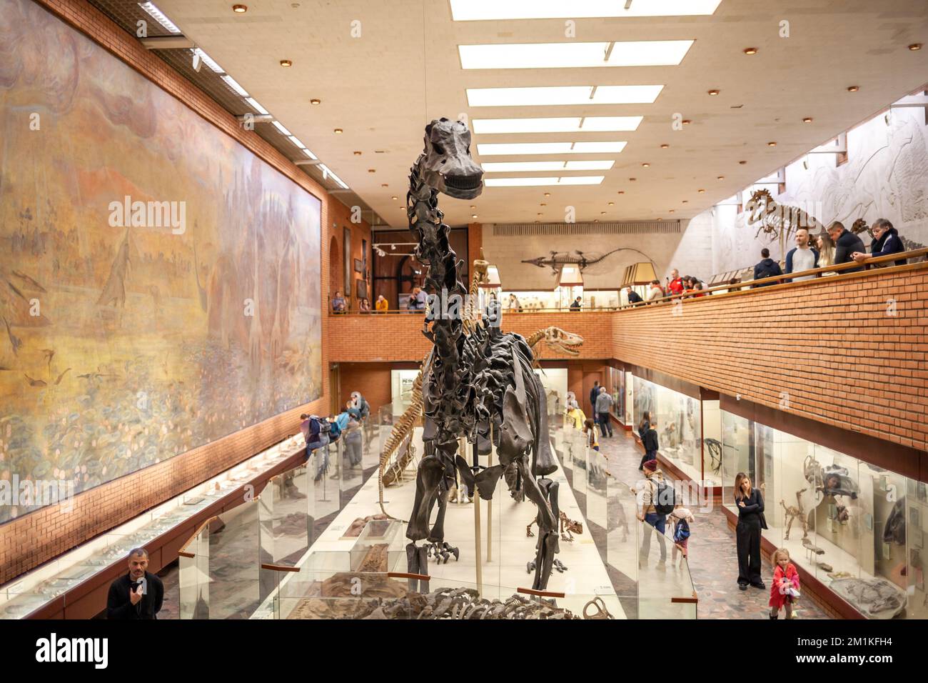 20.11. 2022, Moscow, Russia, Yu.A. Orlov Paleontological Museum ...