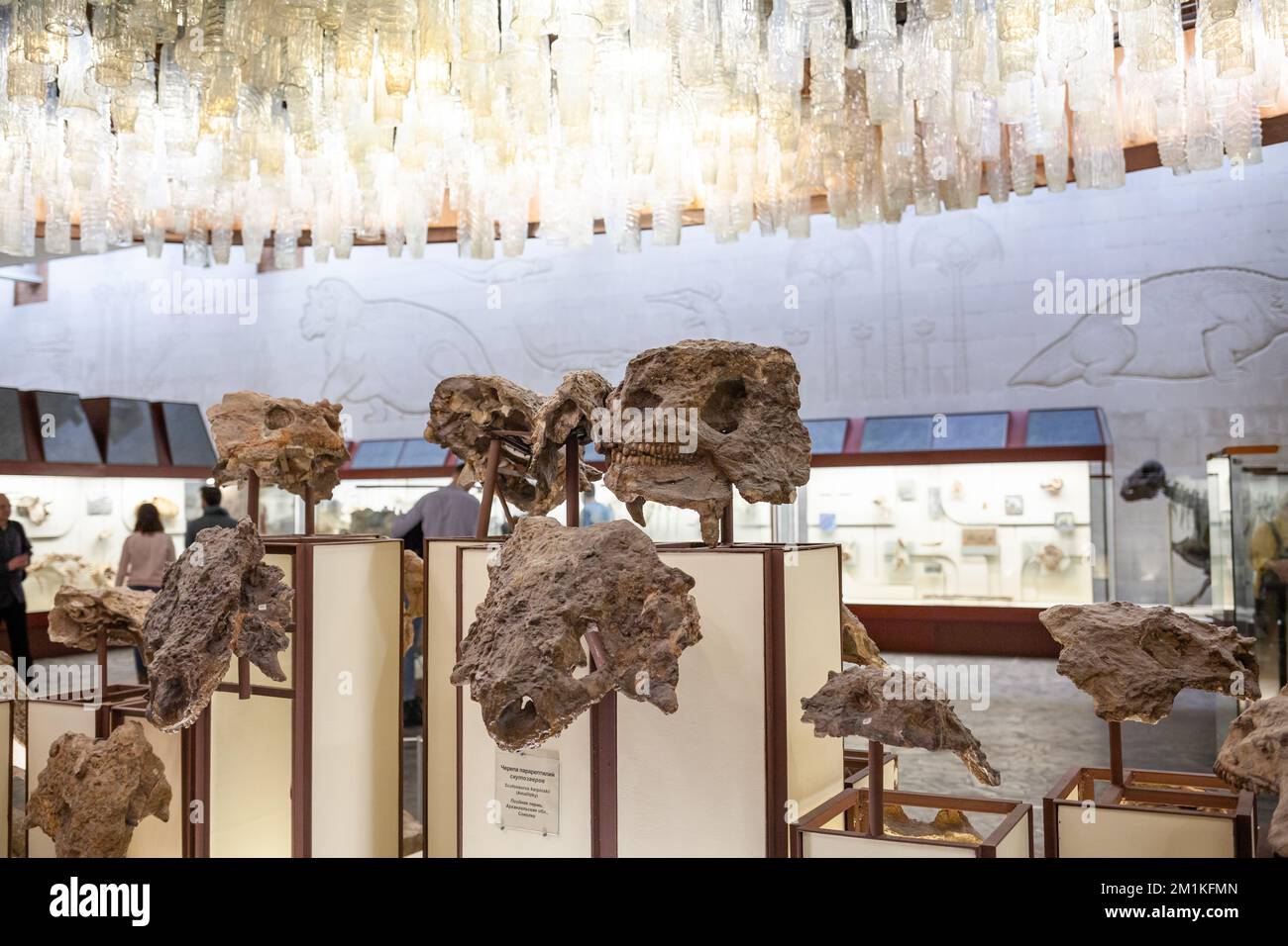 20.11. 2022, Moscow, Russia, Yu.A. Orlov Paleontological Museum ...