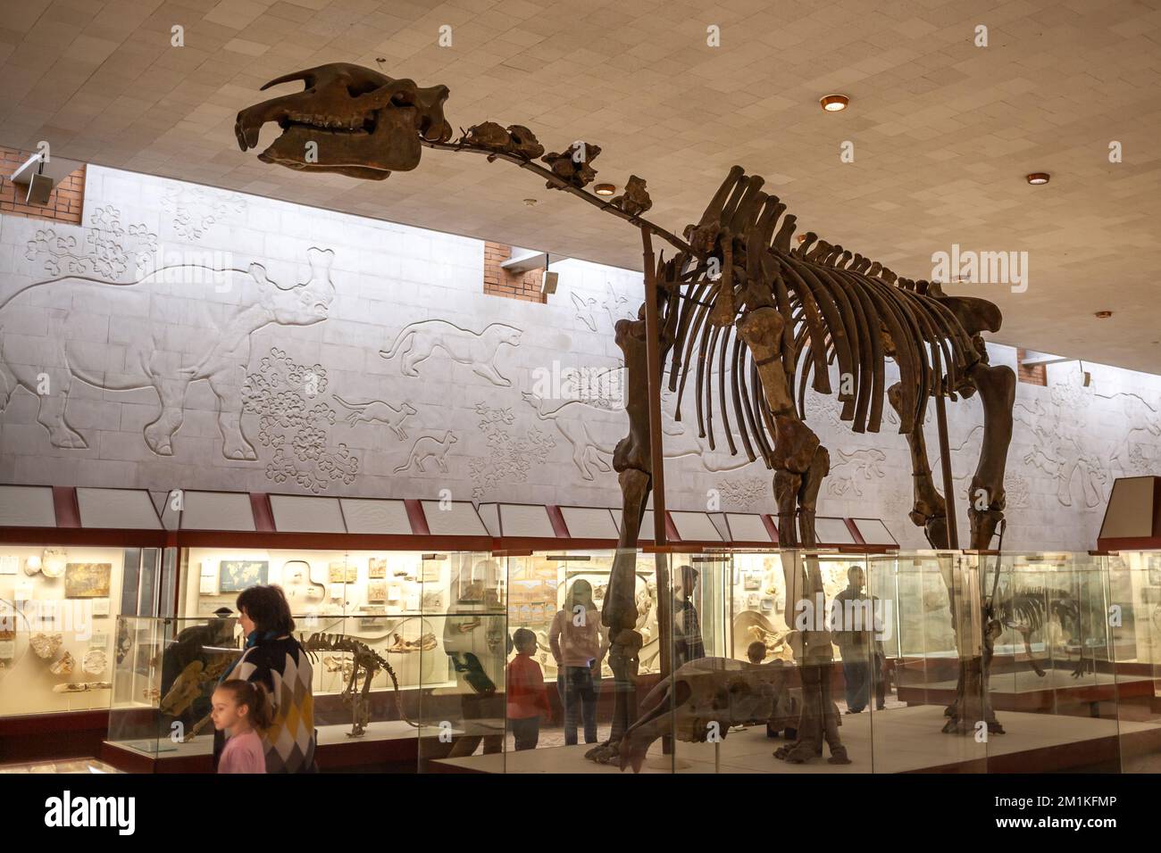 20.11. 2022, Moscow, Russia, Yu.A. Orlov Paleontological Museum ...
