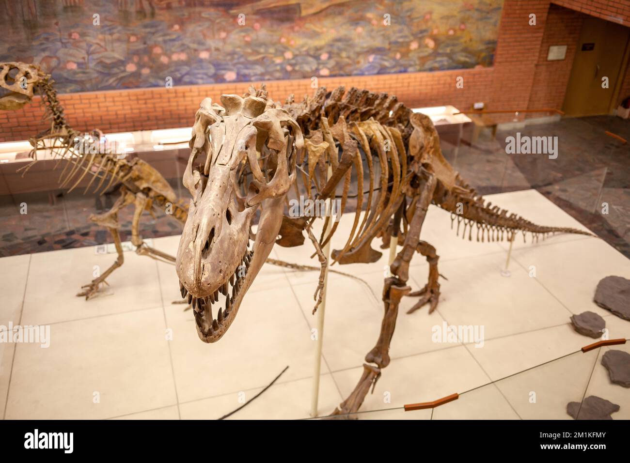 20.11. 2022, Moscow, Russia, Yu.A. Orlov Paleontological Museum ...