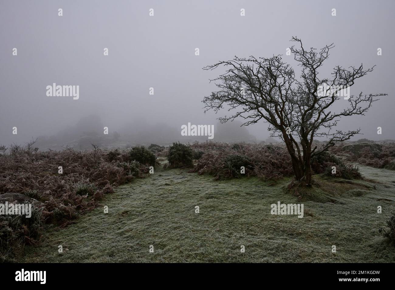 Hound Tor in the Freezing Fog, Dartmoor National Park, Devon Stock ...