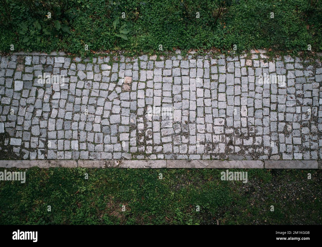 Green pattern texture grass hi-res stock photography and images - Alamy