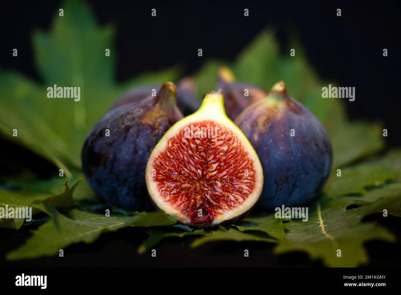 the fruit of the organically grown fig tree Stock Photo - Alamy