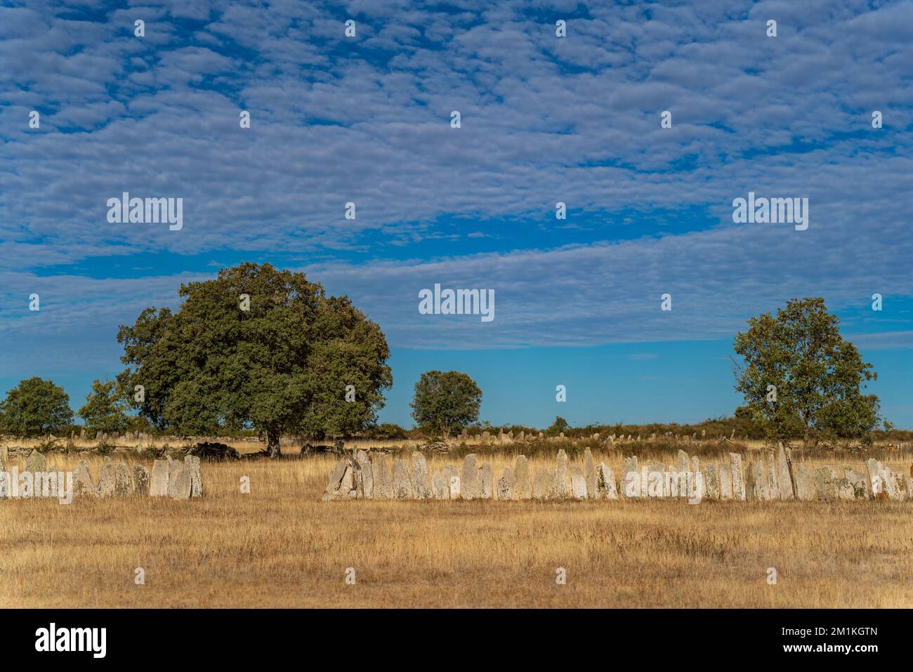 The delimiter hi-res stock photography and images - Alamy