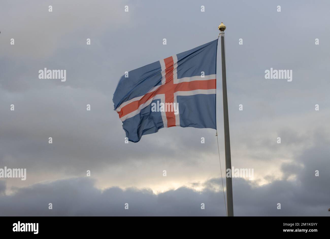 Icelandic flag blowing in the wind outdoors. Early evening cloudy sky ...