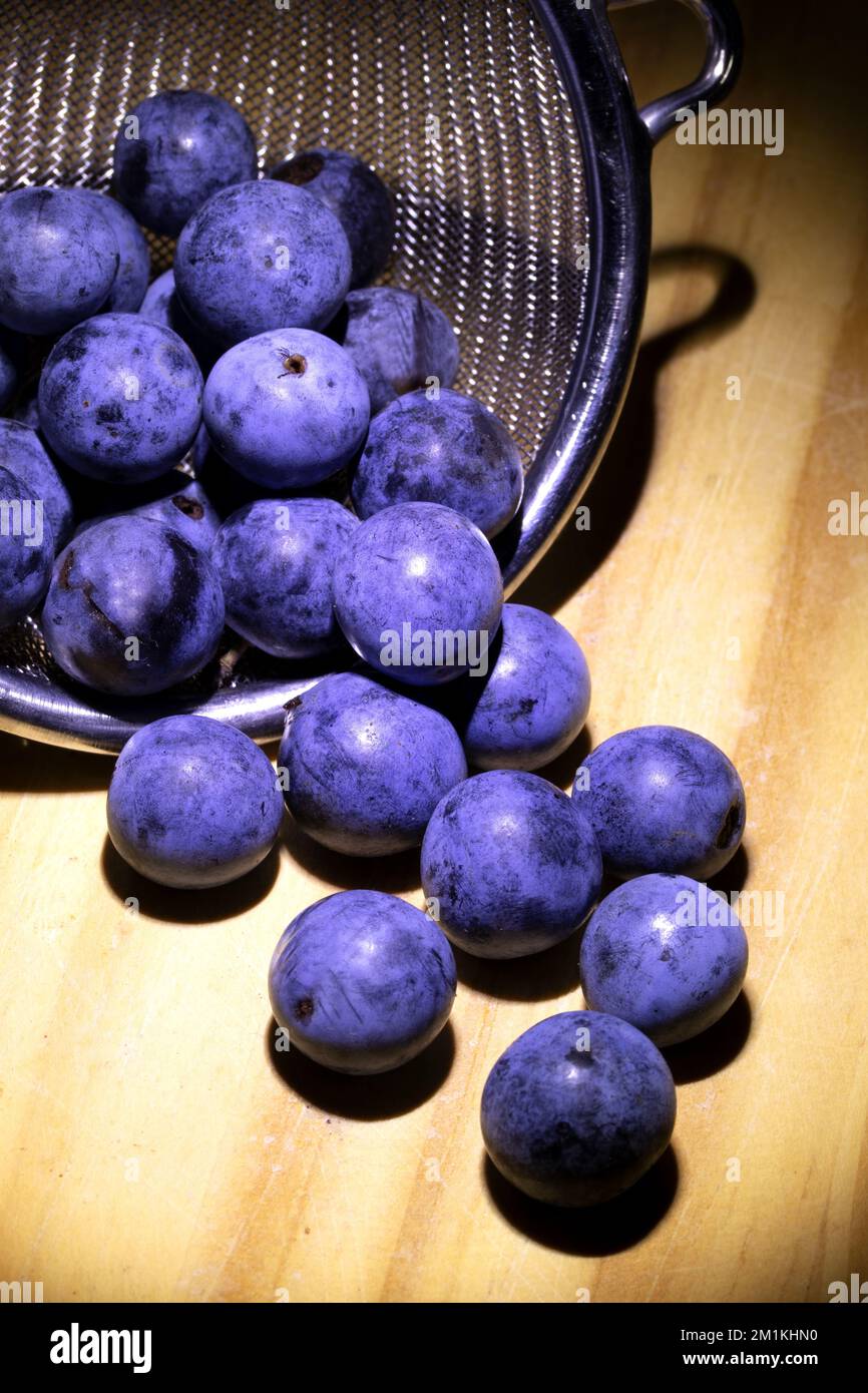 blueberries from organic cultivation Stock Photo - Alamy