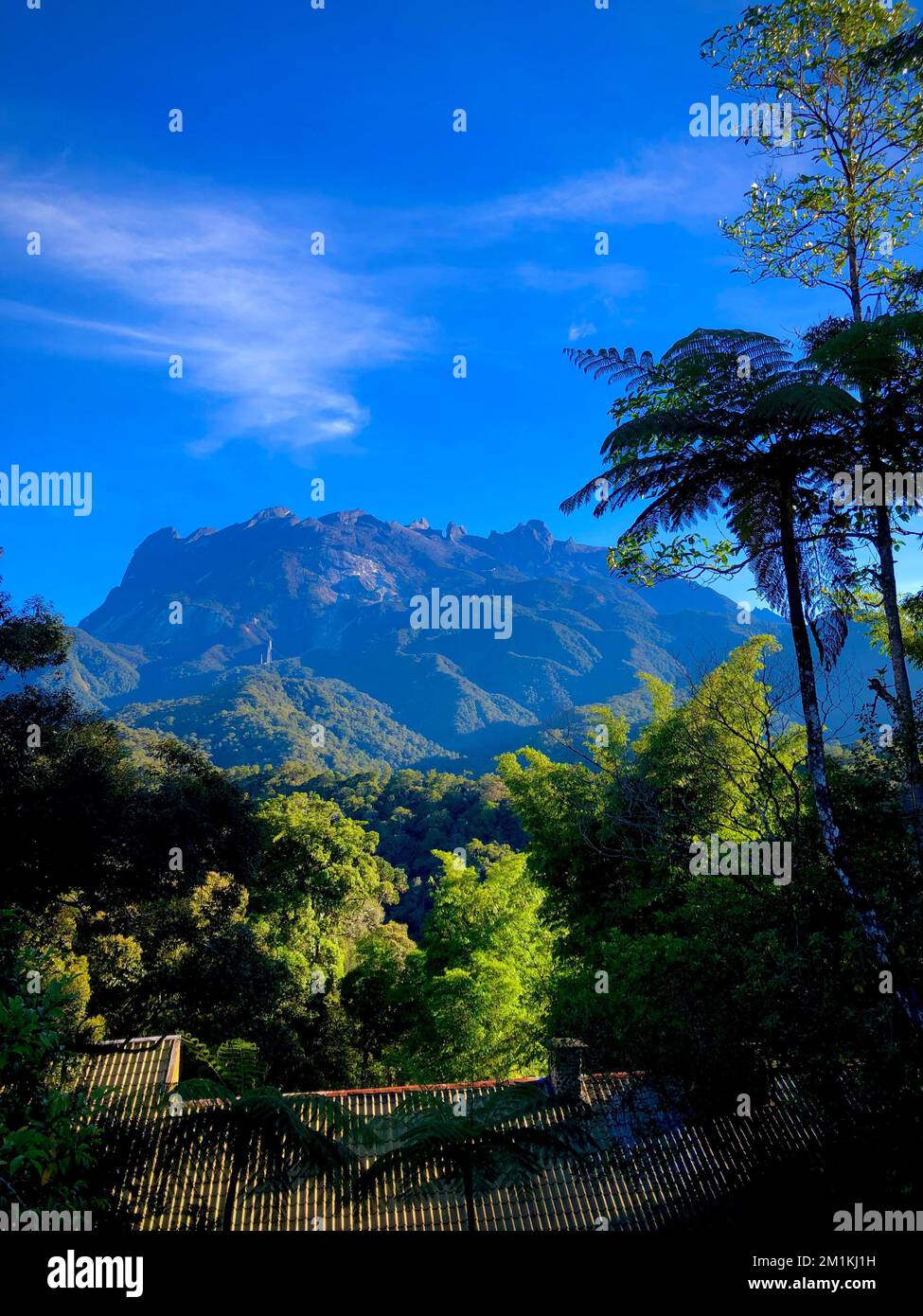 From my hike towards Mount Kinabalu in Malaysia Stock Photo - Alamy