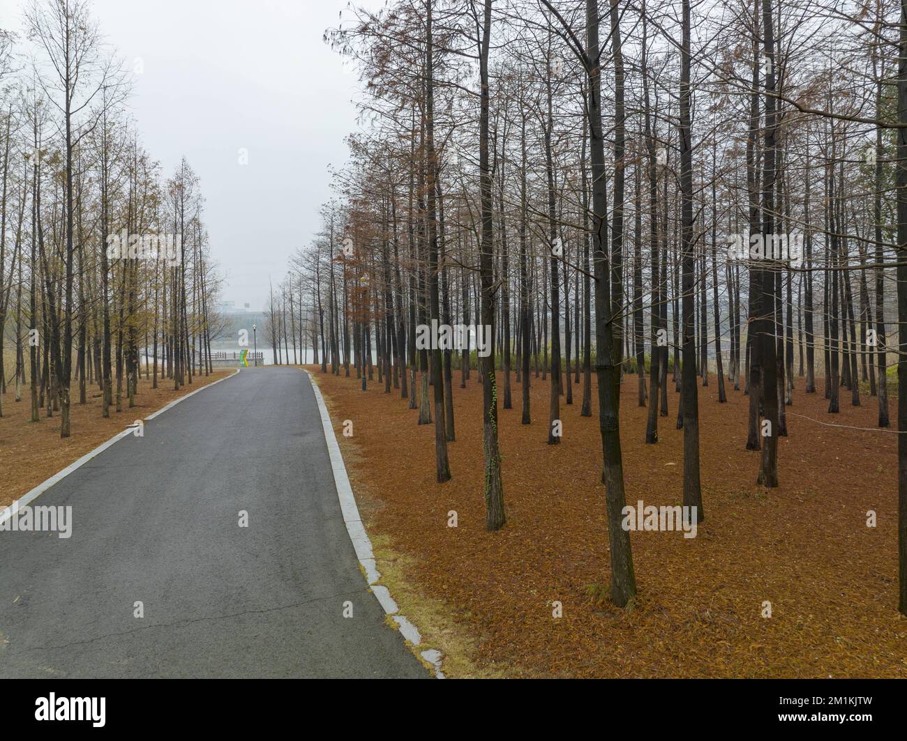 Winter scenery of Ancient Huaihe River National Wetland Park in Huai'an ...