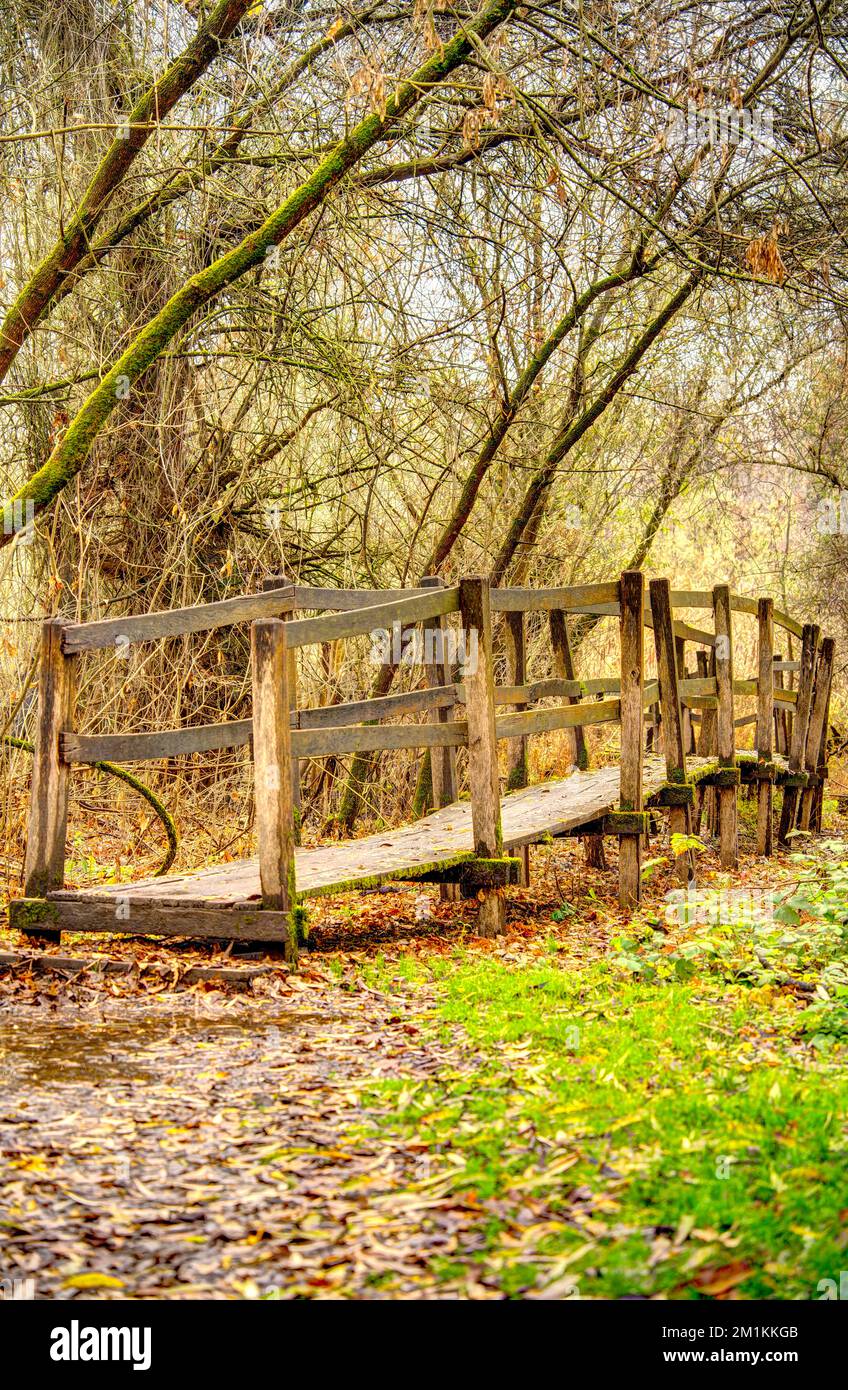 Hungarian countryside in autumn, HDR Image Stock Photo - Alamy