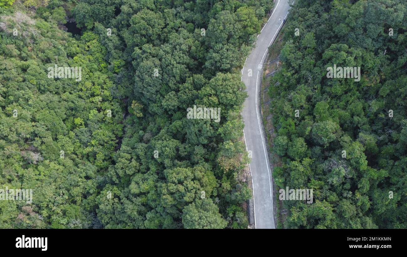 Aerial photo shows the scenery of Dongguan Yinpingshan Forest Park in ...