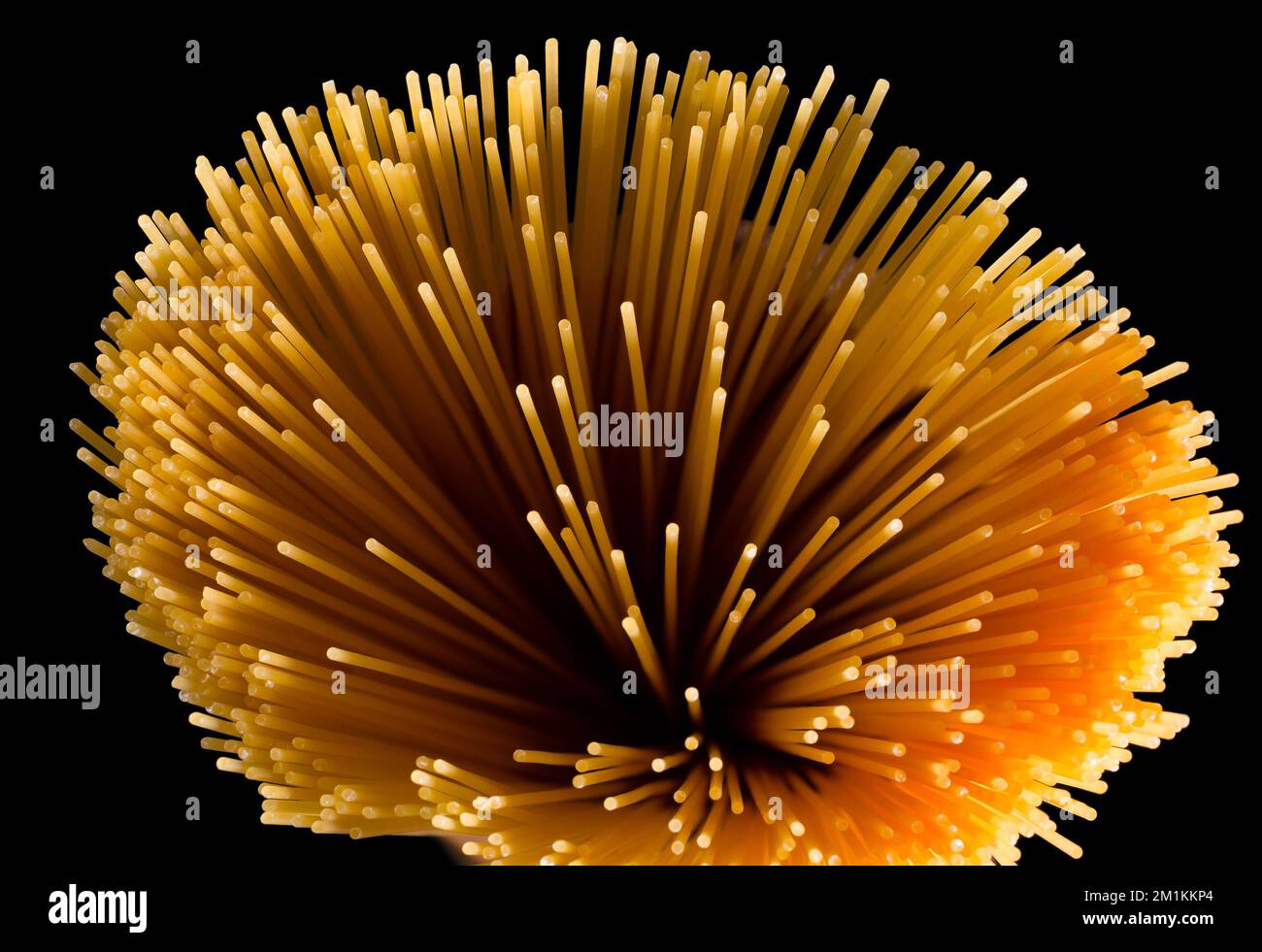 Yellow long spaghetti on a black background. Yellow italian pasta. Long ...