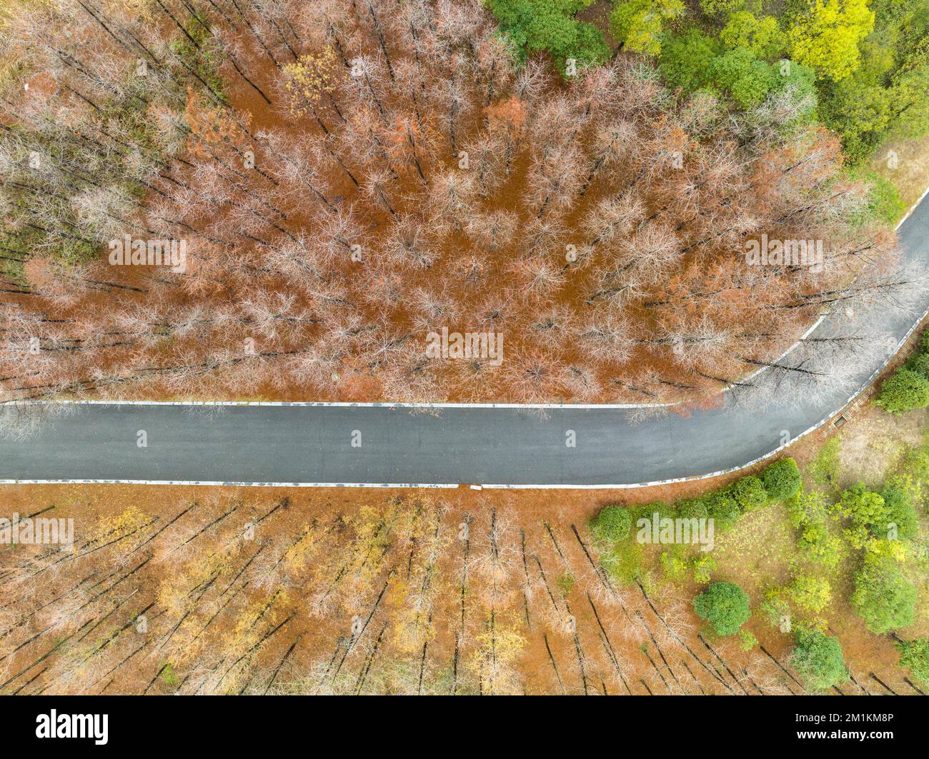 Aerial photo shows the winter scenery of Ancient Huaihe River National ...