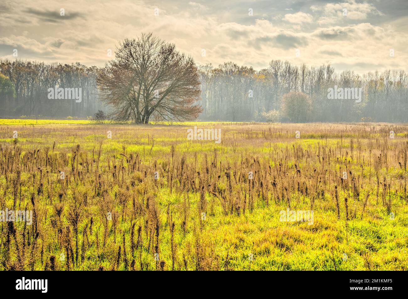 Hungarian countryside in autumn, HDR Image Stock Photo - Alamy