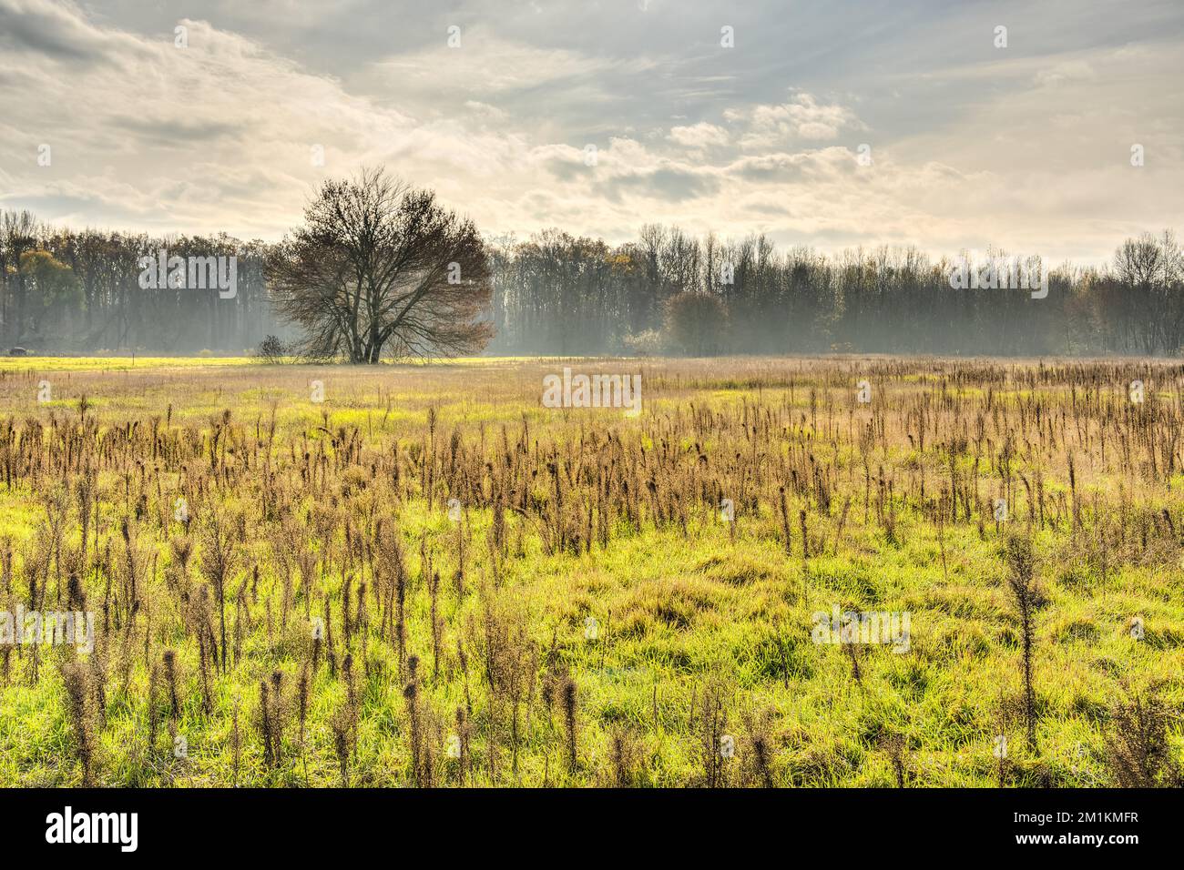 Hungarian countryside in autumn, HDR Image Stock Photo - Alamy