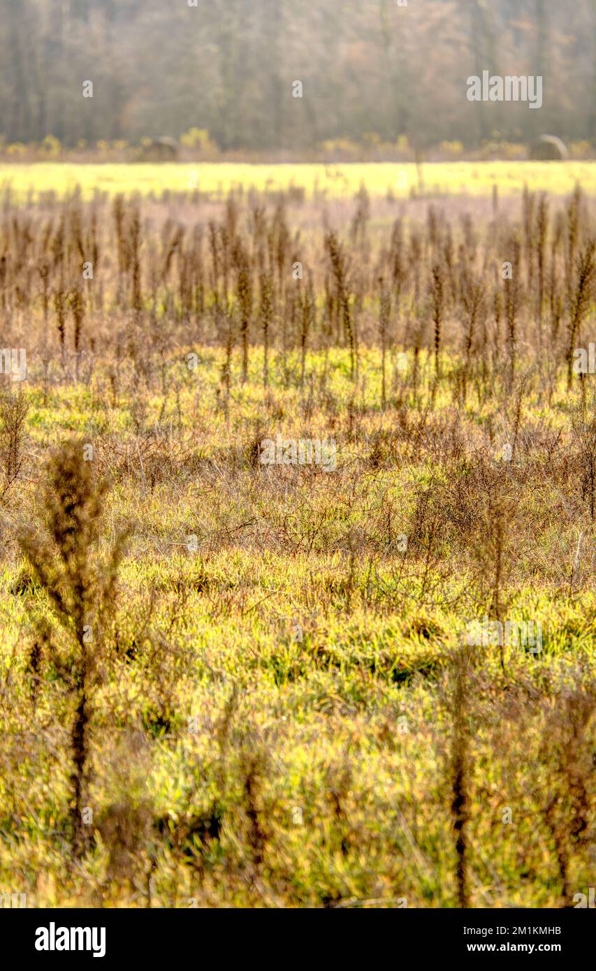 Hungarian countryside in autumn, HDR Image Stock Photo - Alamy