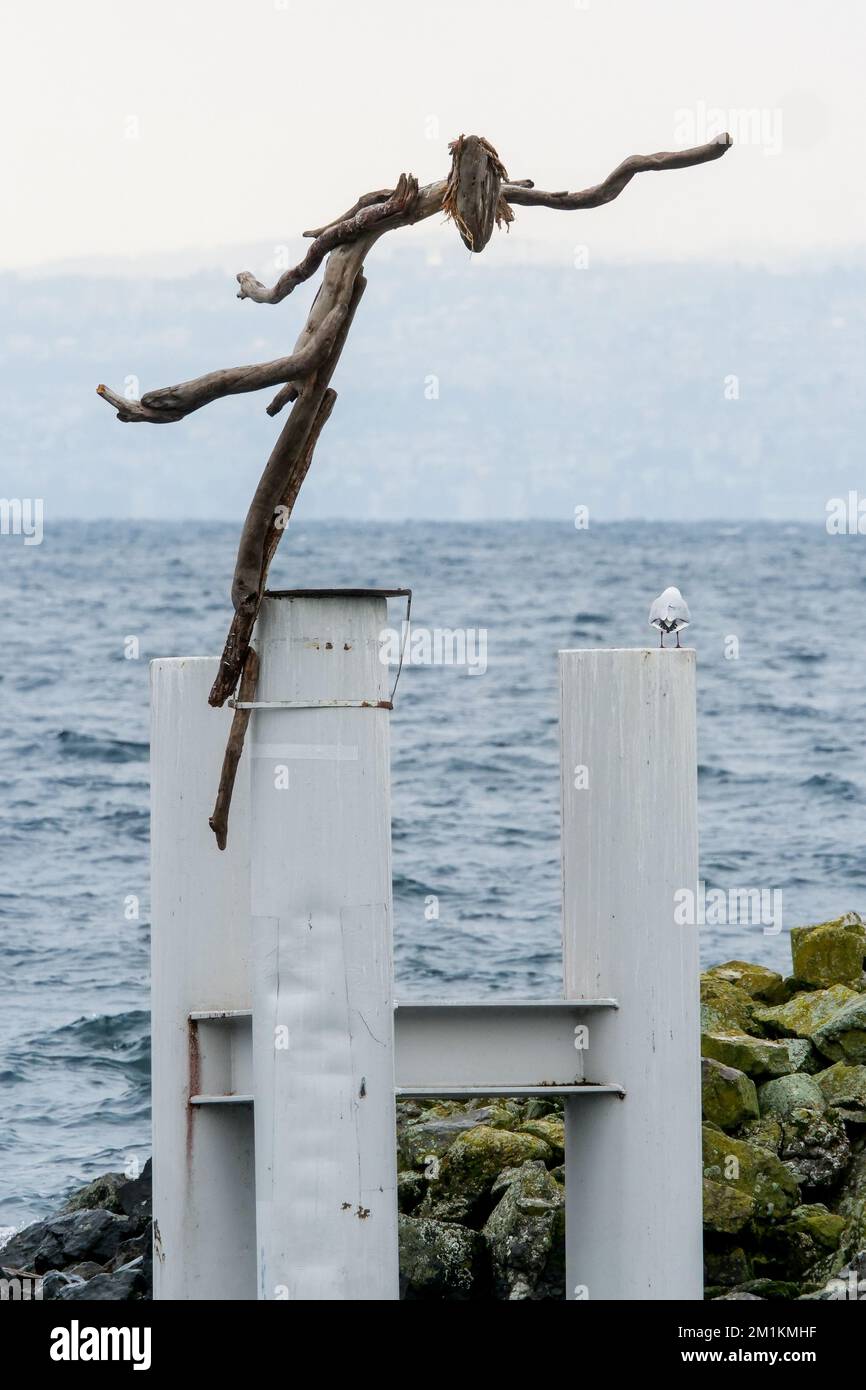 The Flottins festival, Evian-les-Bains, Haute-Savoie, France Stock ...