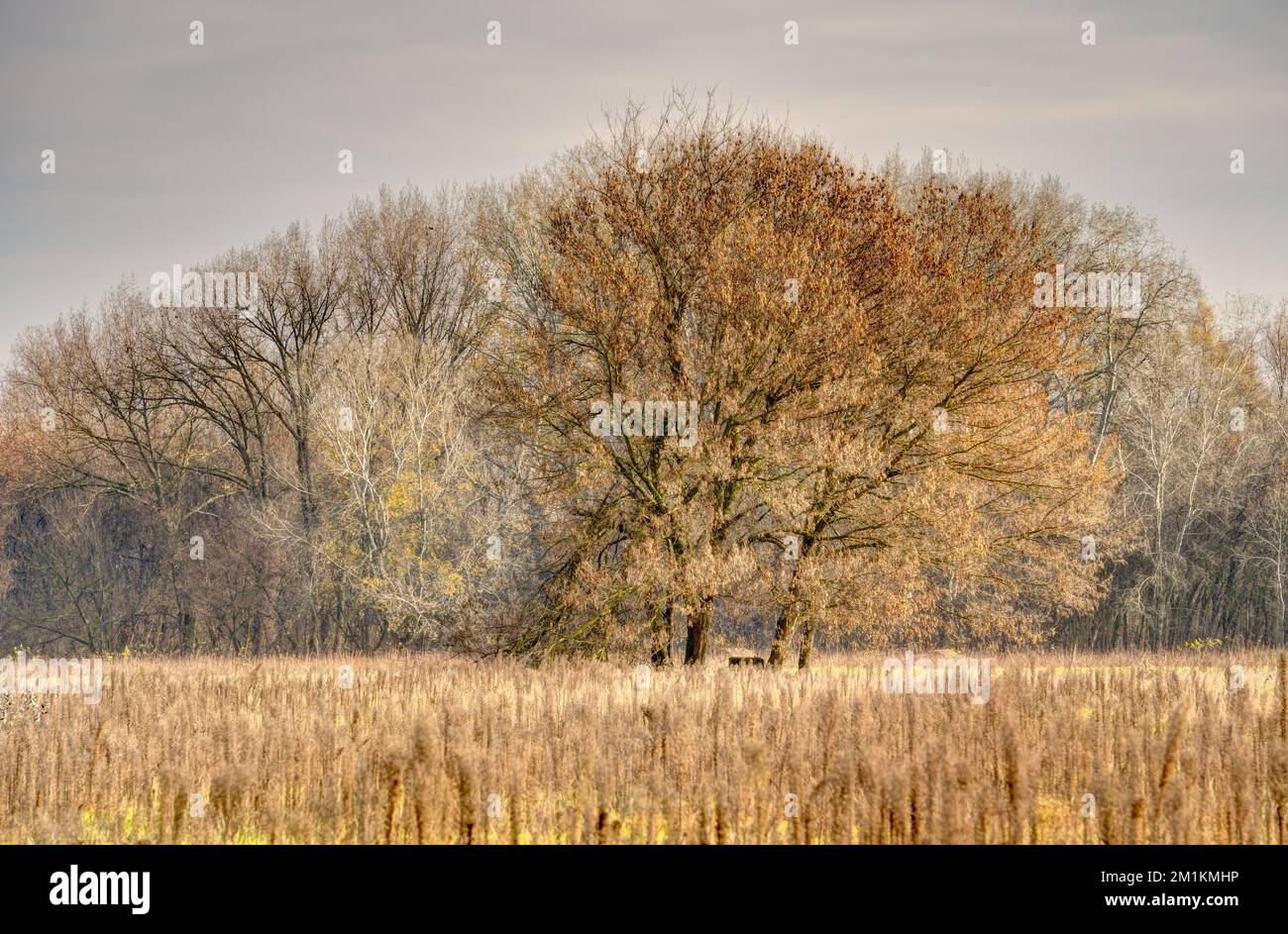 Hungarian countryside in autumn, HDR Image Stock Photo - Alamy