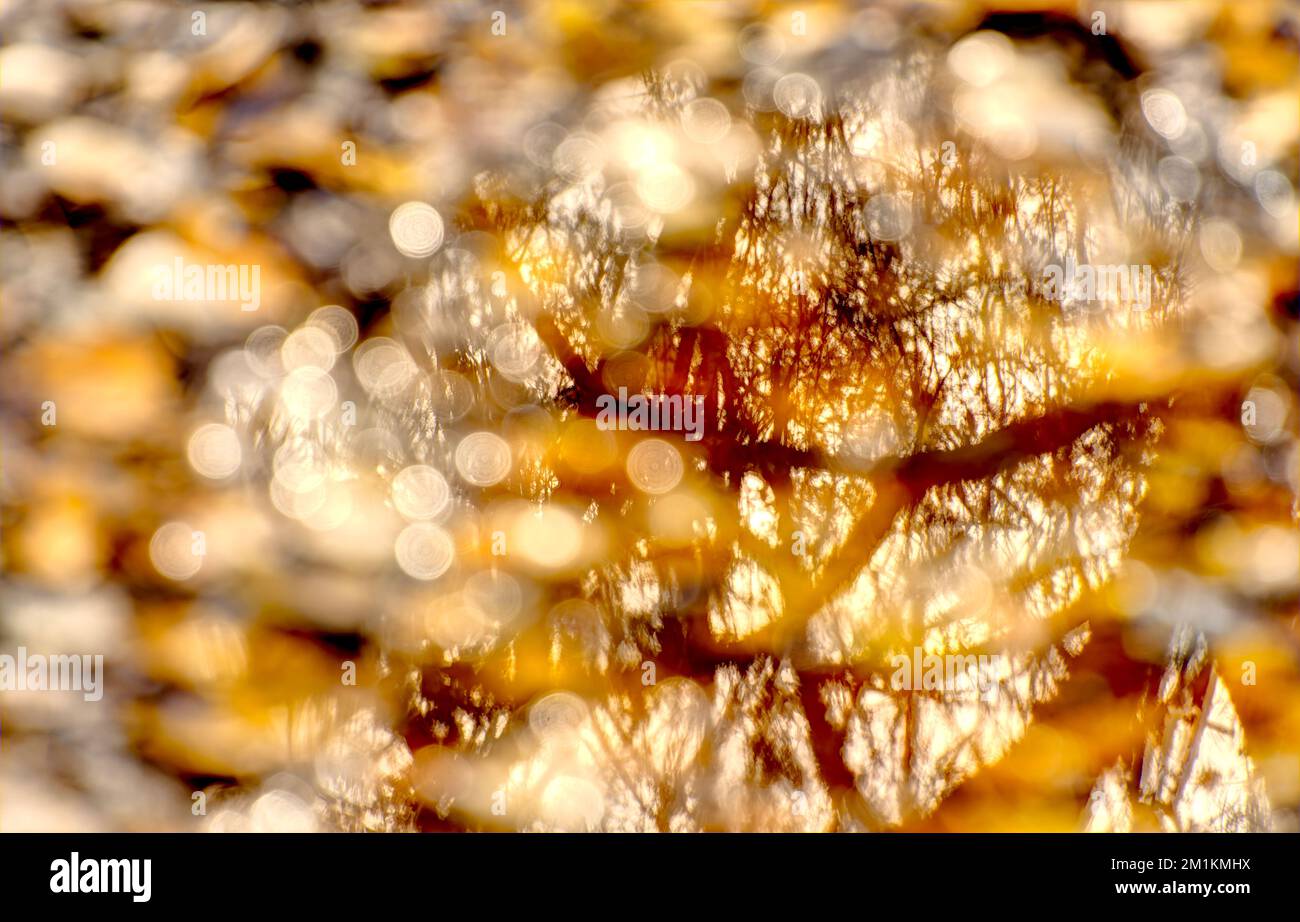 Hungarian countryside in autumn, HDR Image Stock Photo - Alamy