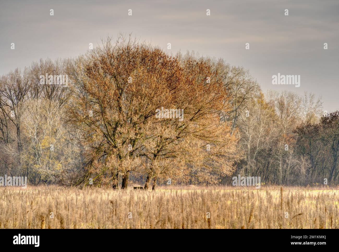 Hungarian countryside in autumn, HDR Image Stock Photo - Alamy