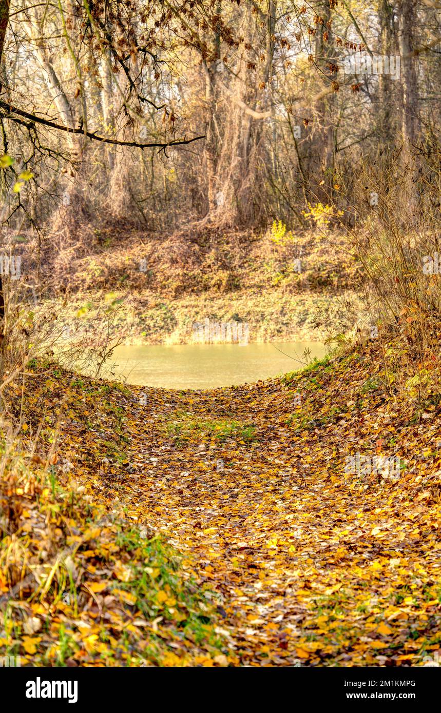 Hungarian countryside in autumn, HDR Image Stock Photo - Alamy