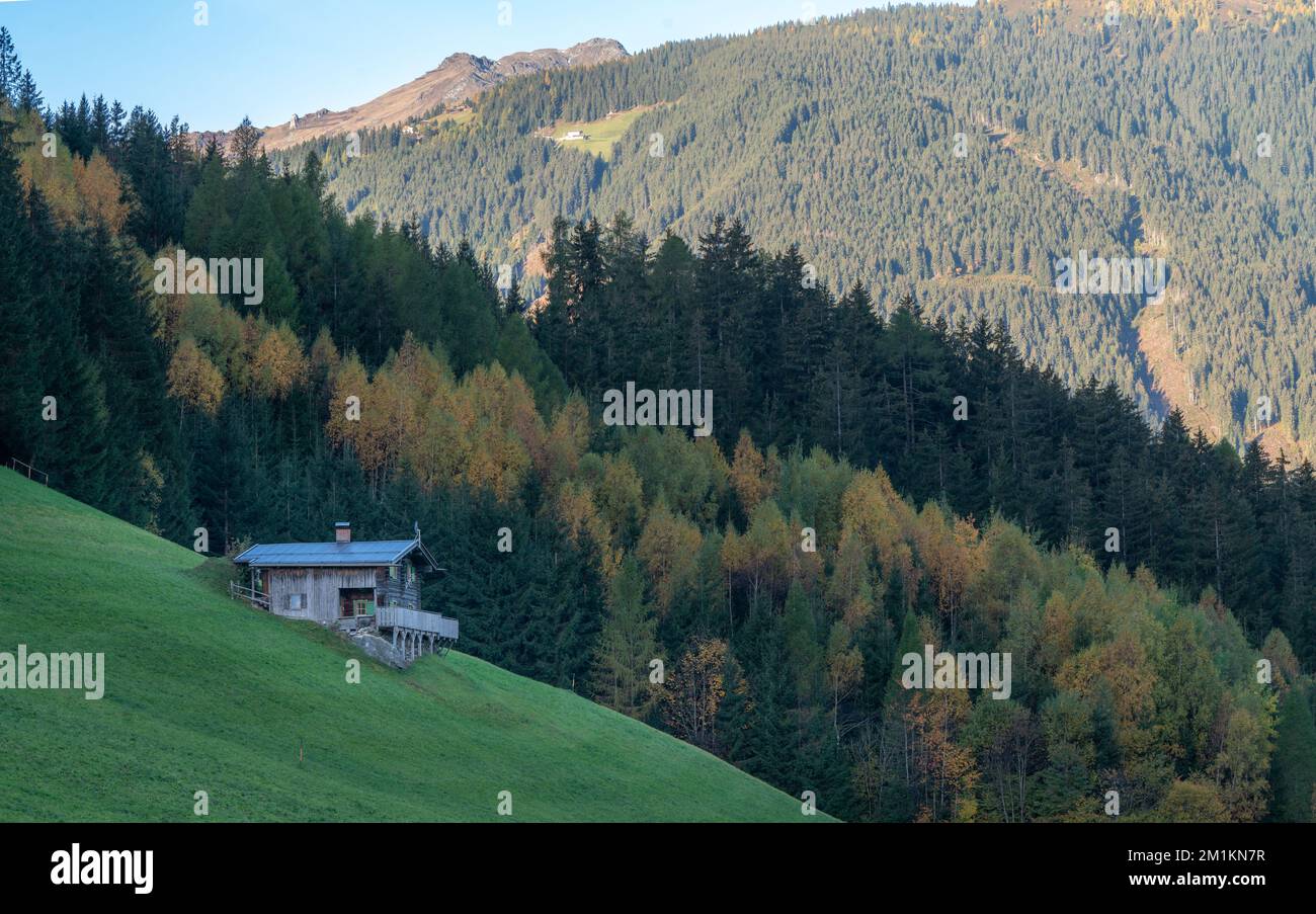 Alpine cabin on an alpine meadow hi-res stock photography and images ...