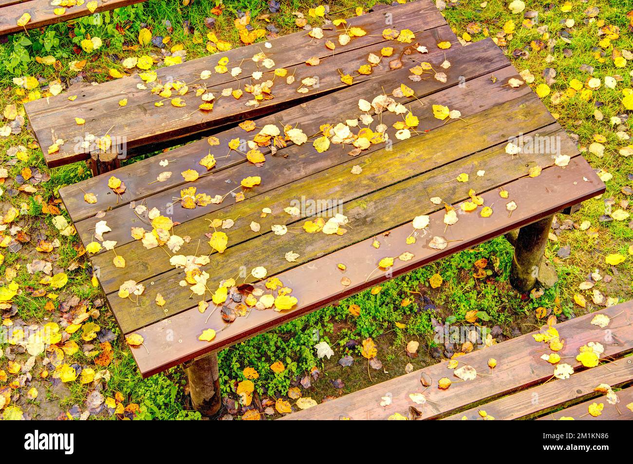 Hungarian countryside in autumn, HDR Image Stock Photo - Alamy