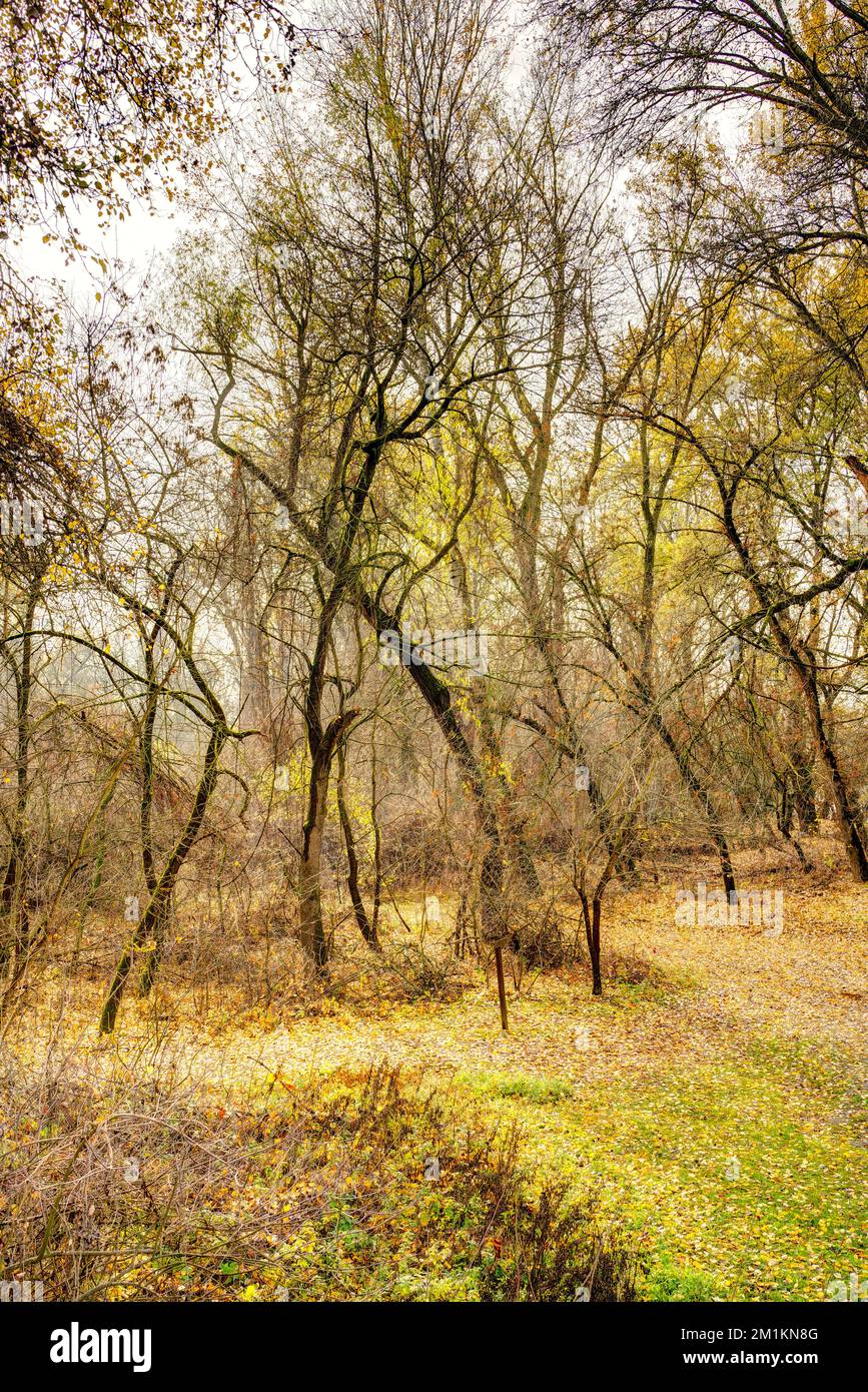 Hungarian countryside in autumn, HDR Image Stock Photo - Alamy