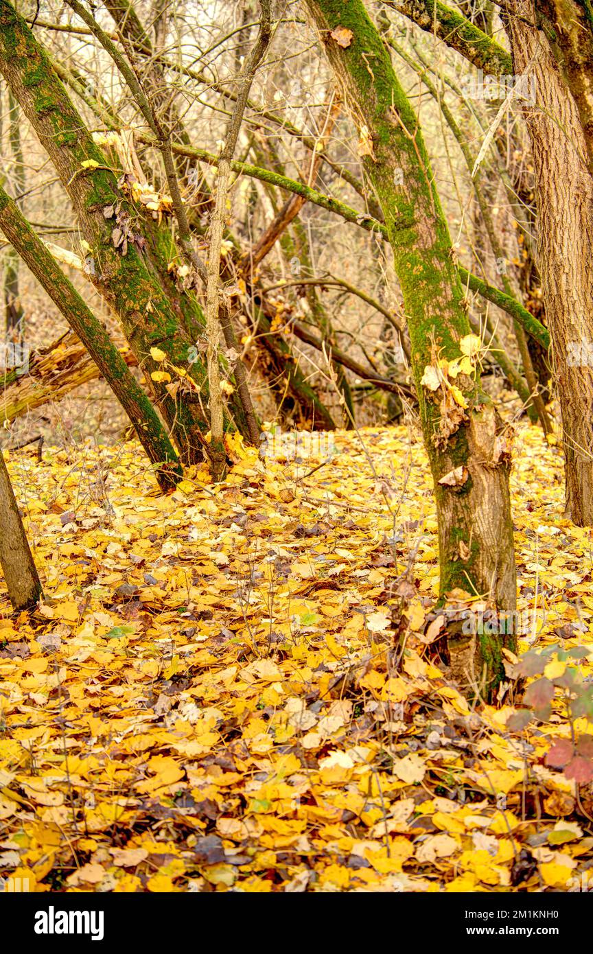 Hungarian countryside in autumn, HDR Image Stock Photo - Alamy