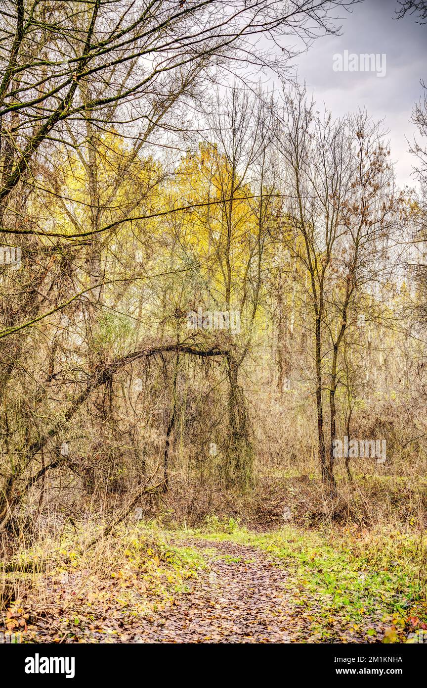 Hungarian countryside in autumn, HDR Image Stock Photo - Alamy