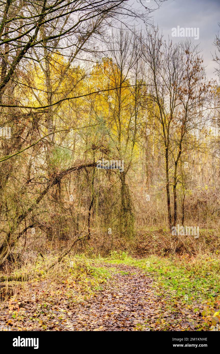 Hungarian countryside in autumn, HDR Image Stock Photo - Alamy