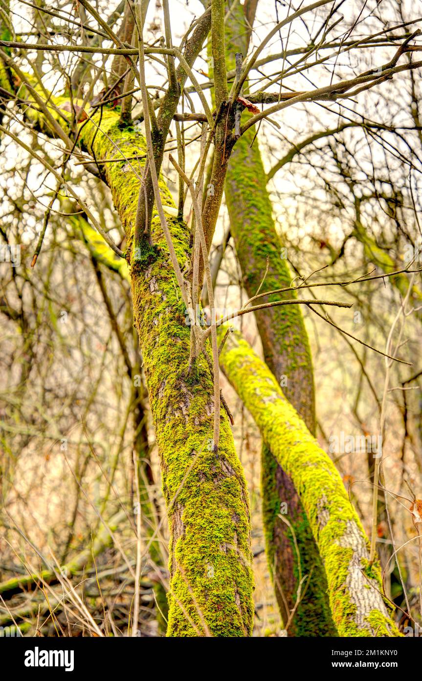Hungarian countryside in autumn, HDR Image Stock Photo - Alamy
