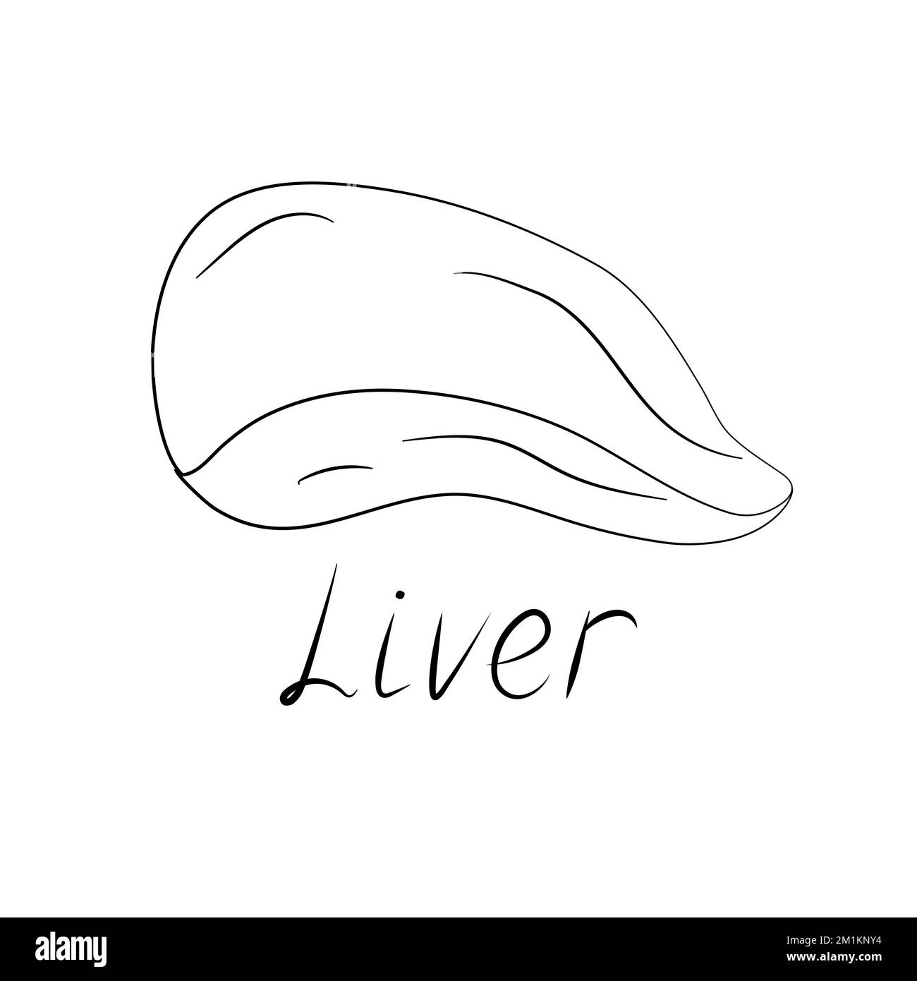 Liver Illustration And Hand Written Inscription Vector Logo Stock Vector Image And Art Alamy
