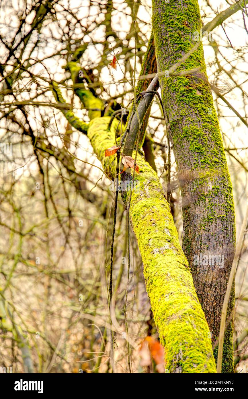 Hungarian countryside in autumn, HDR Image Stock Photo - Alamy