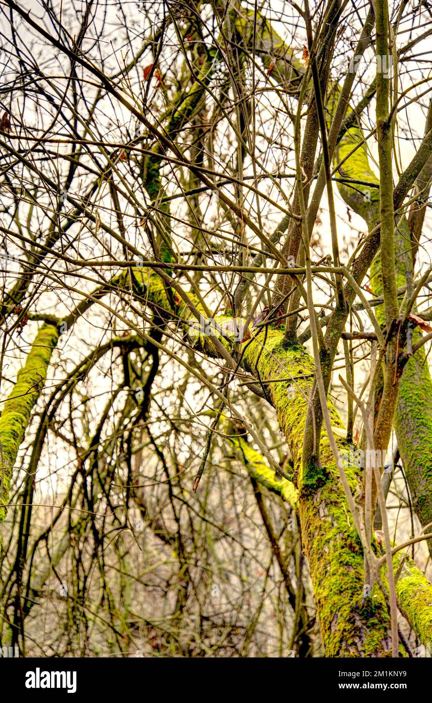 Hungarian countryside in autumn, HDR Image Stock Photo - Alamy